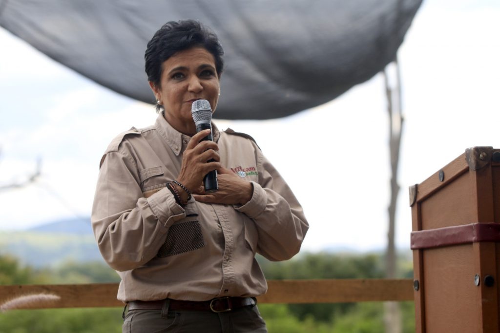 Fallece Amy Camacho, directora del zoológico Africam Safari - xeu ...