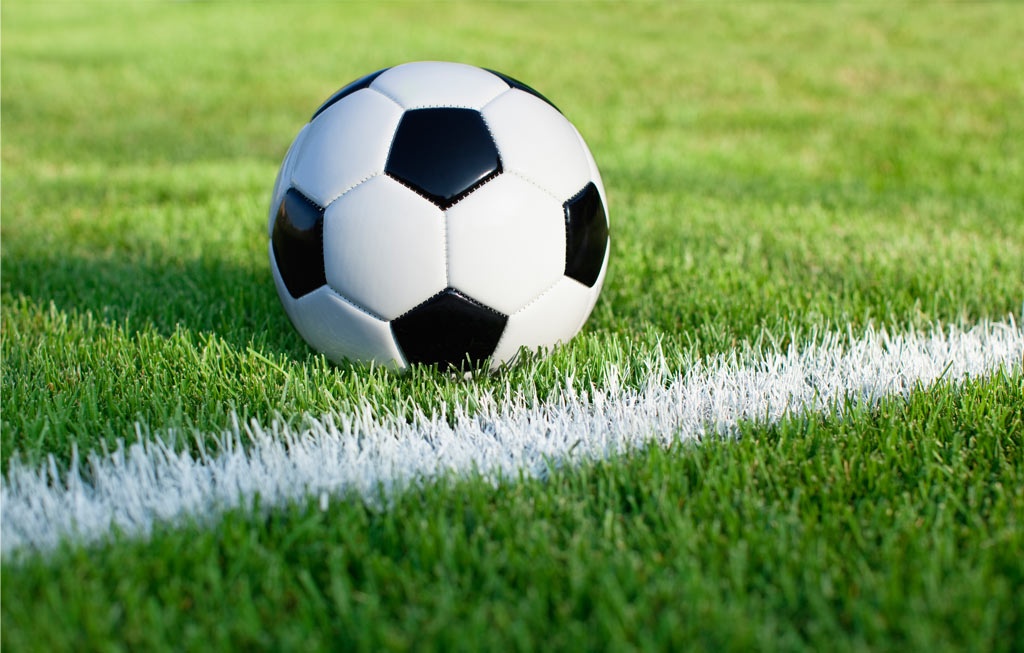 ¿Cómo usar azscore.mx? - xeu noticias veracruz