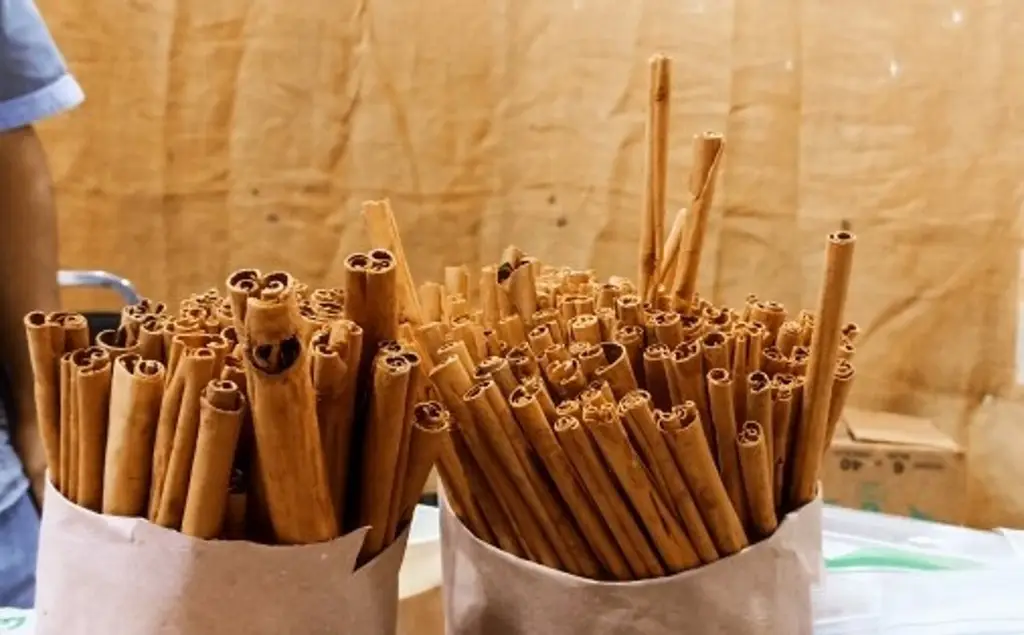 Exportan canela orgánica del norte de Veracruz a Alemania y Canadá ...