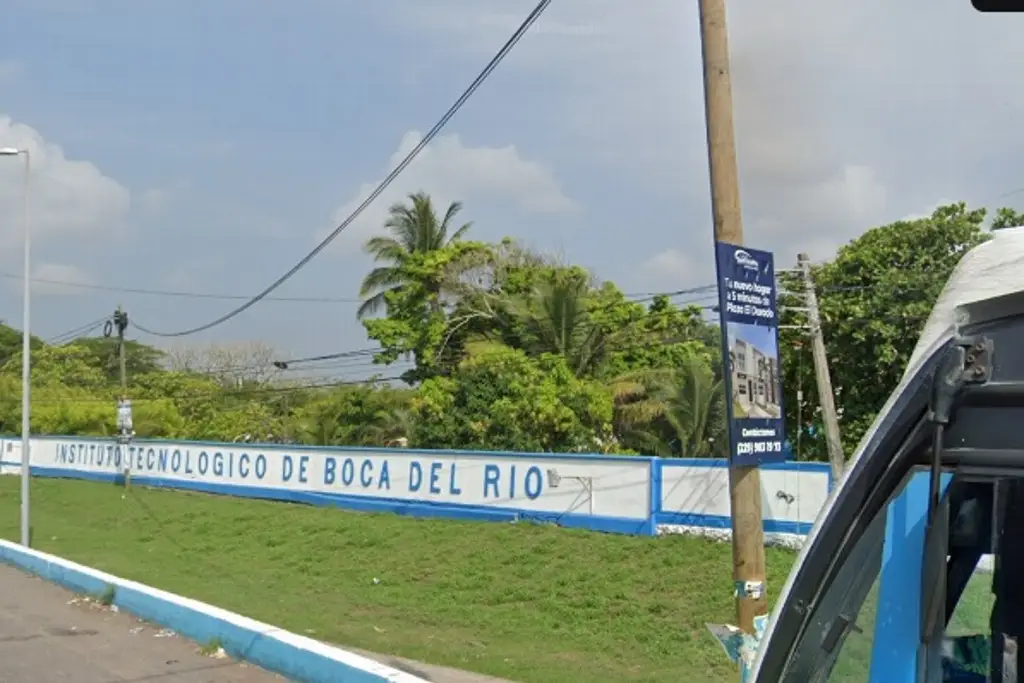 Tecnológico de Boca del Río dona plantas decorativas - xeu noticias ...