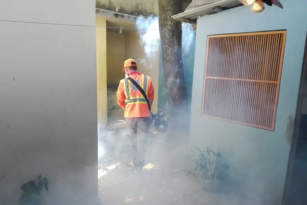 Una Irresponsabilidad Del Gobierno Los Más De 6 Mil Casos De Dengue En