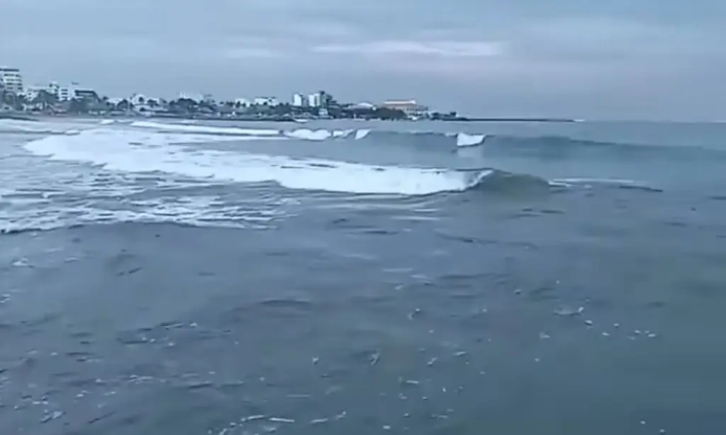 Esta ha sido la racha máxima por viento del norte en Veracruz - xeu noticias veracruz