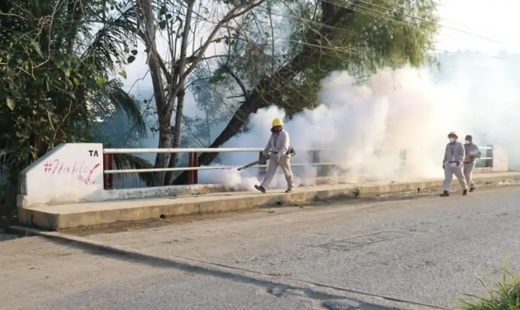 Continúa el combate al dengue en Poza Rica, Veracruz - xeu noticias veracruz