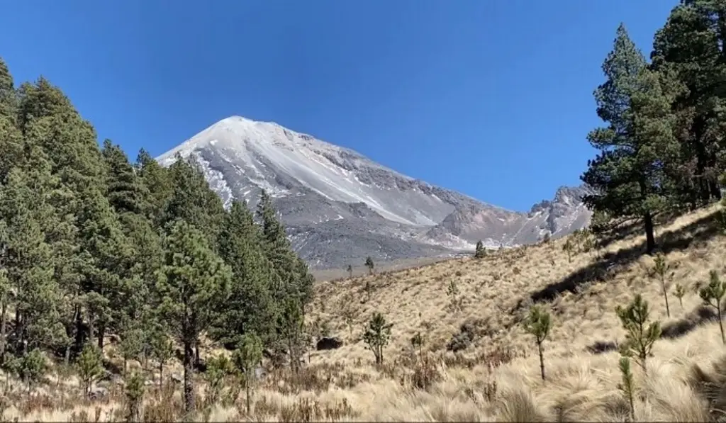 Era la cuarta ocasión que alpinistas ascendían al Pico de Orizaba - xeu ...